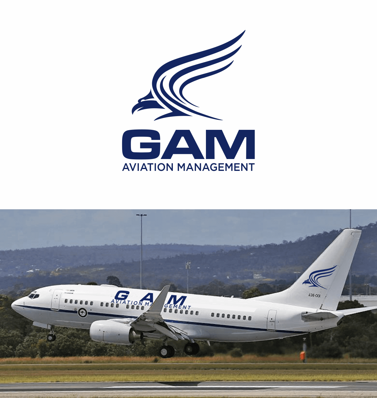 Top 39 Flug-Logos, die garantiert voll durchstarten