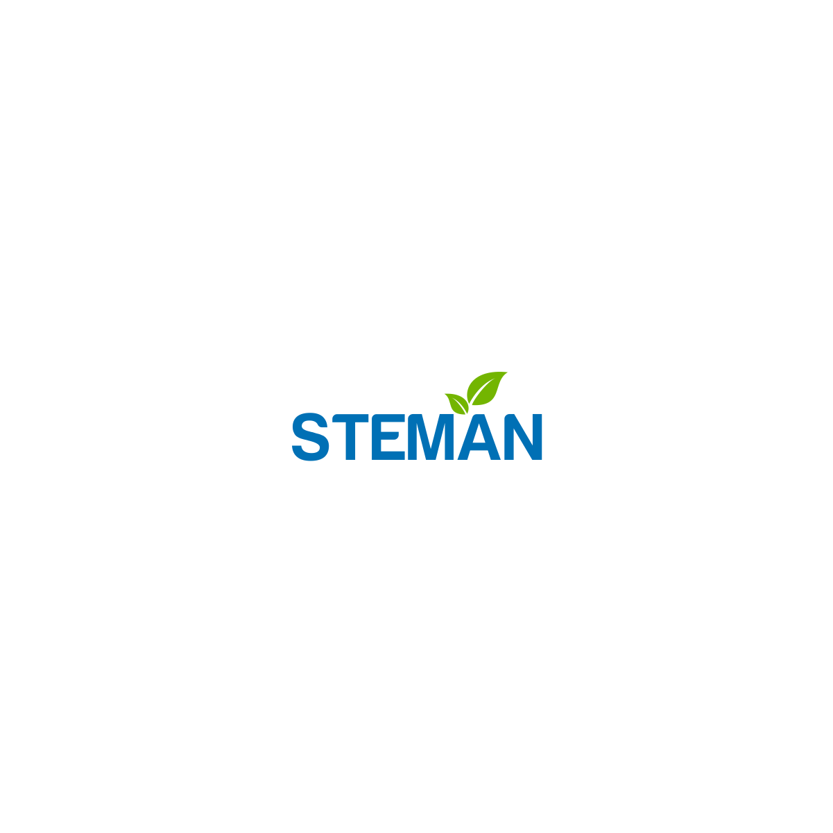 Steman » Logo » Briefing » designenlassen.de